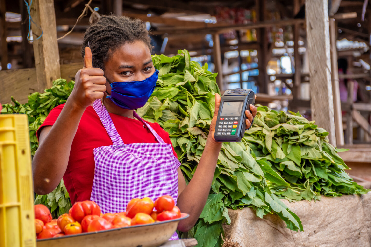 The Future of Financial Inclusion in Nigeria: A Strategic Imperative ...